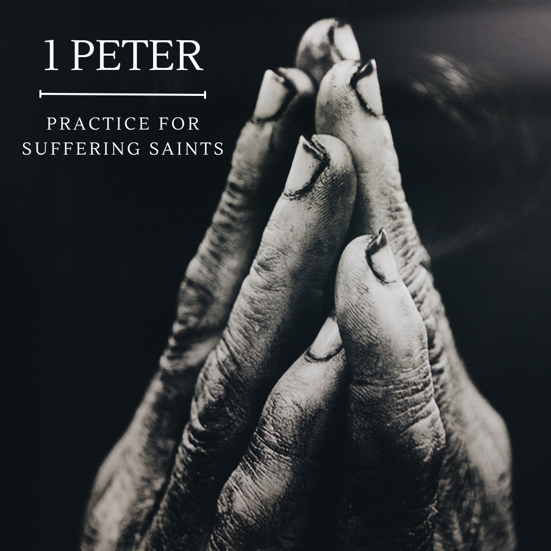1 Peter - Bible Teaching Resources