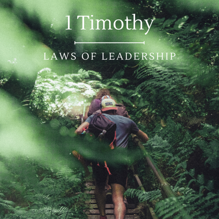 1 Timothy - Bible Teaching Resources